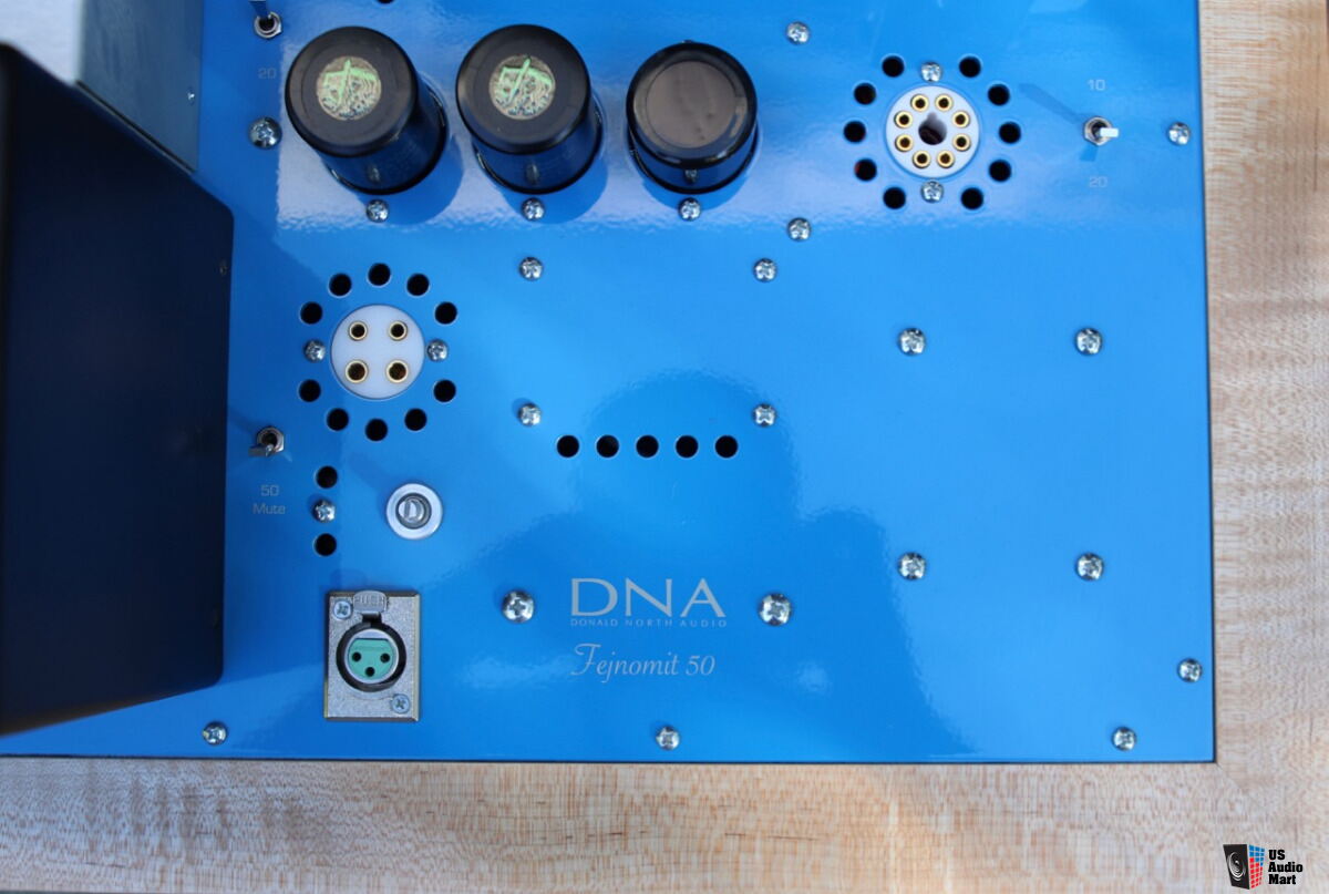 Custom Donald North Audio 50 Tube Monoblocks - BIG PRICE REDUCTION ...