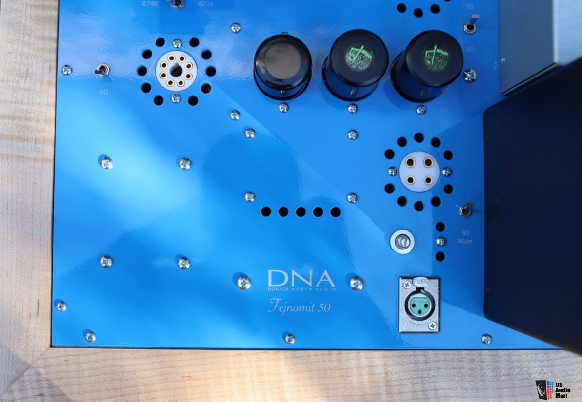 Custom Donald North Audio 50 Tube Monoblocks - BIG PRICE REDUCTION ...
