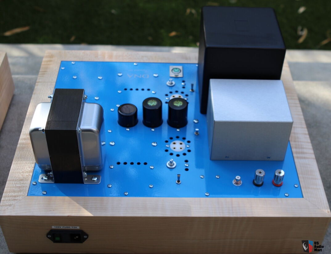 Custom Donald North Audio 50 Tube Monoblocks - BIG PRICE REDUCTION ...