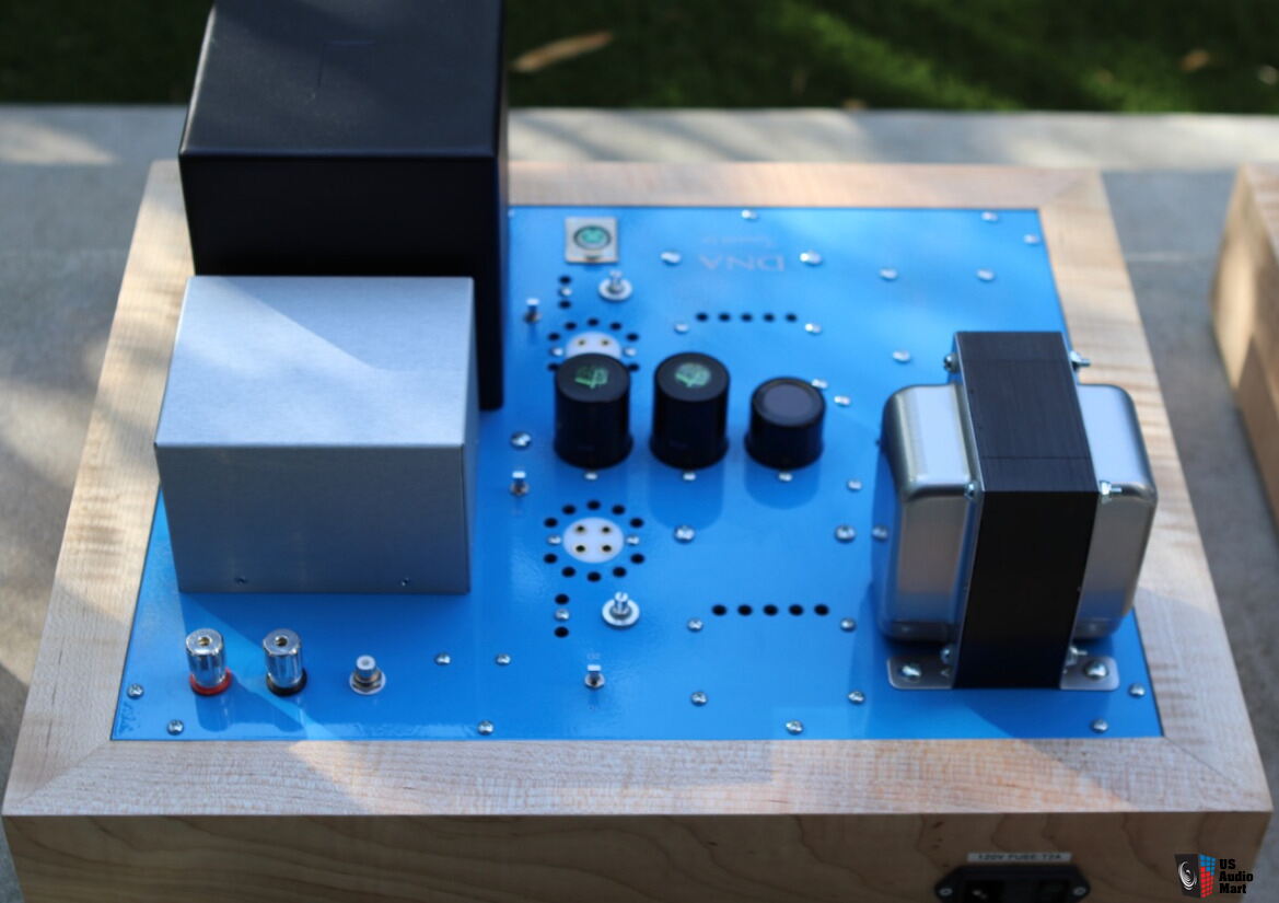 Custom Donald North Audio 50 Tube Monoblocks - BIG PRICE REDUCTION ...