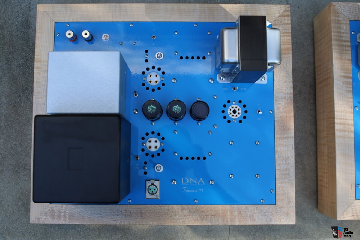 Custom Donald North Audio 50 Tube Monoblocks - BIG PRICE REDUCTION ...