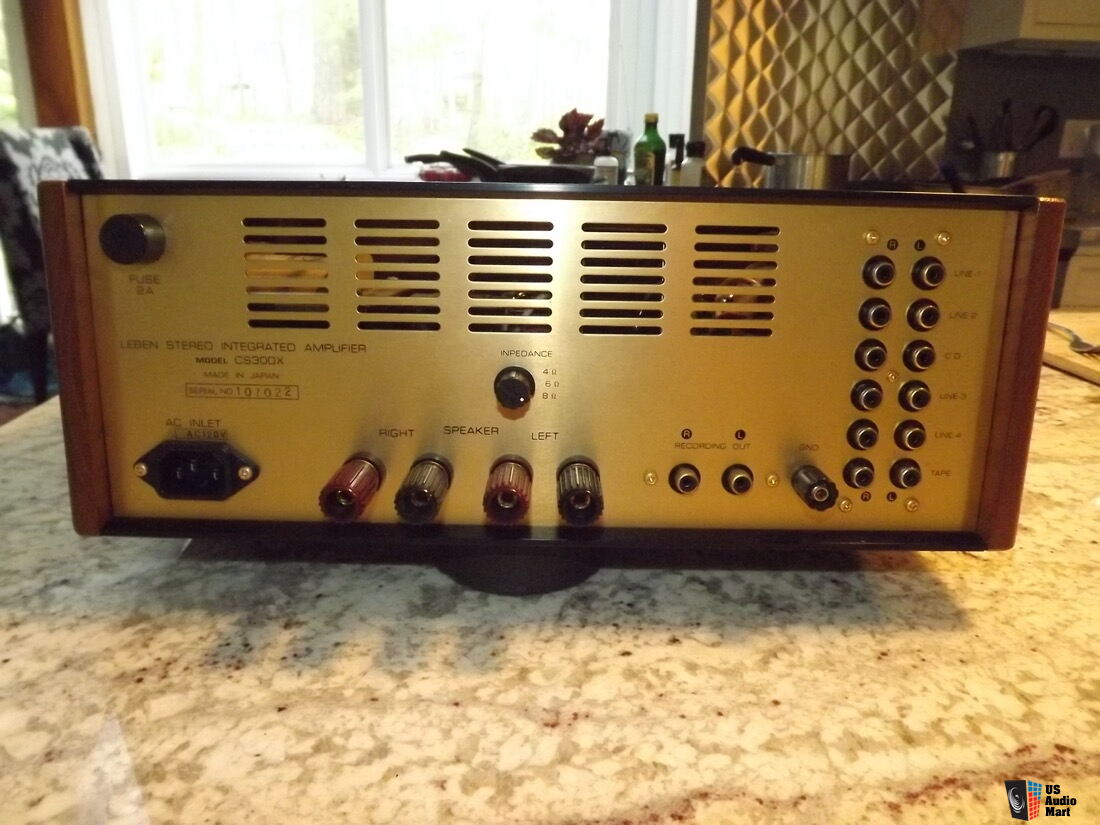 LEBEN CS-300X Photo #2698205 - US Audio Mart