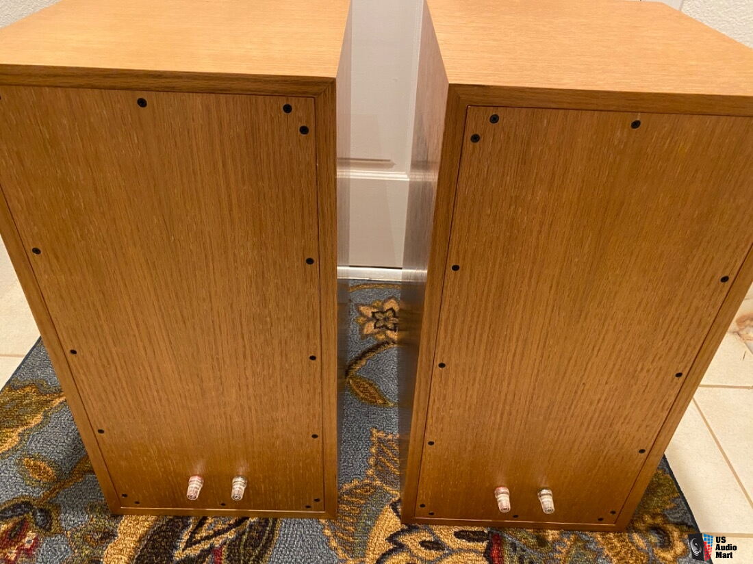 Rare Diatone P-610 MB full range speaker in custom cabinets Photo ...
