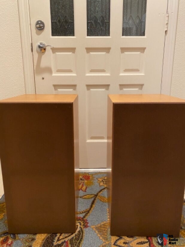 Rare Diatone P-610 MB full range speaker in custom cabinets Photo ...