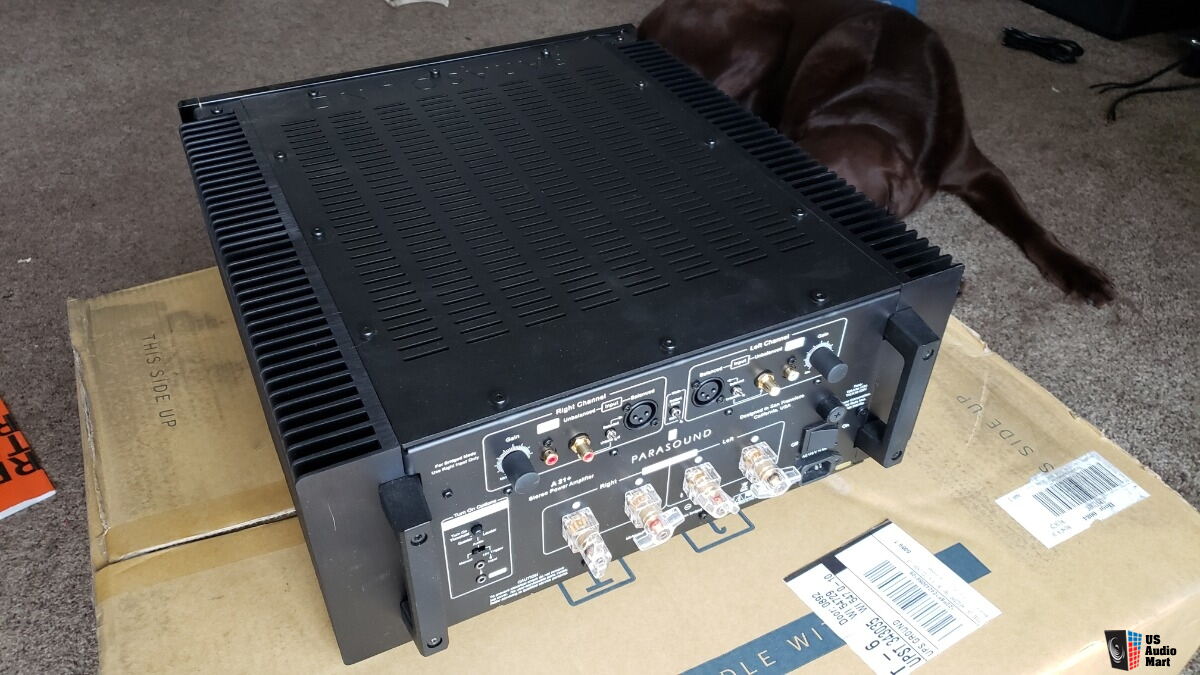 Parasound Halo A21+ Plus, new! Photo #2699702 - US Audio Mart