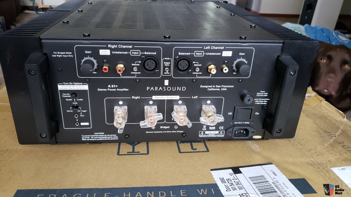 Parasound Halo A21+ Plus, new! Photo #2699702 - US Audio Mart