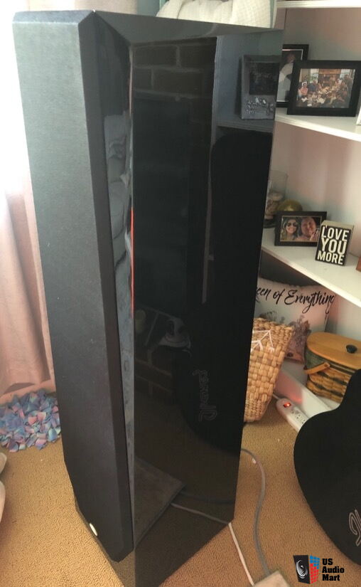 Legacy Focus SE/XD- No PP Fees- Price Reduced Photo #2718250 - US Audio ...