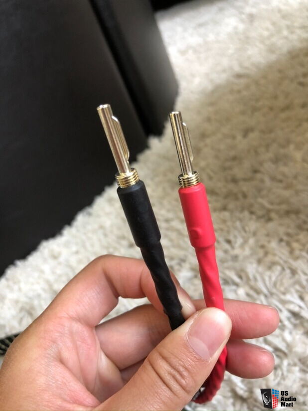 Raven Cables Soniquil Speaker Cables 3M Pair Photo #2742894 - US Audio Mart