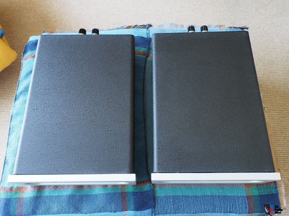 Bel Canto REF500M x 2 Power Amplifiers Photo #2744420 - Aussie Audio Mart