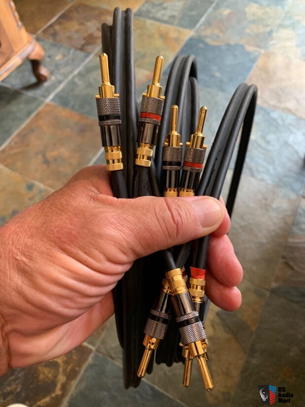 Naim NAC A5 Speaker Cables 10' pair w/ Locking banana plugs For Sale ...
