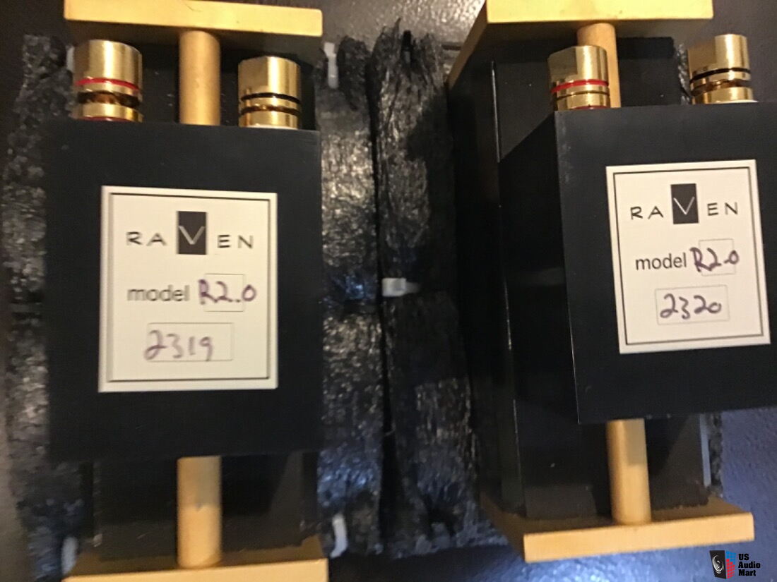 Raven R 2.0 Ribon tweeters Reduced Photo #2770665 - US Audio Mart