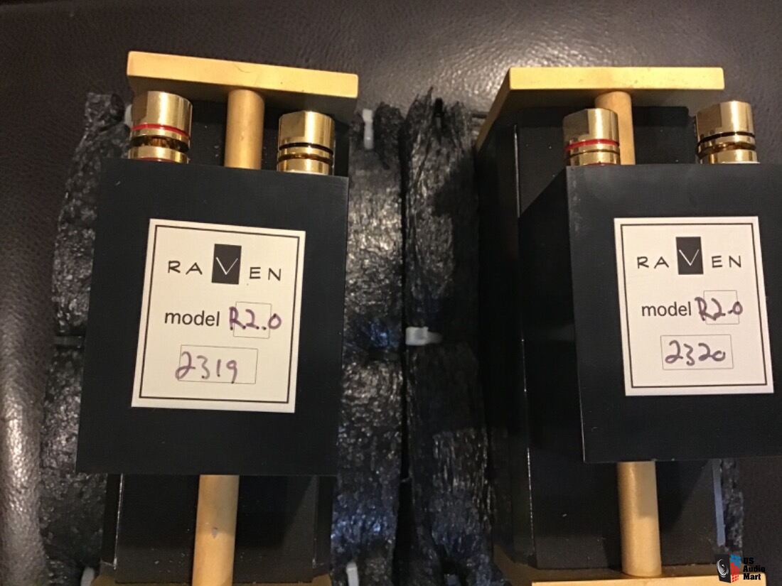 RaVen r2.0 ribon tweeters Photo #2789494 - US Audio Mart