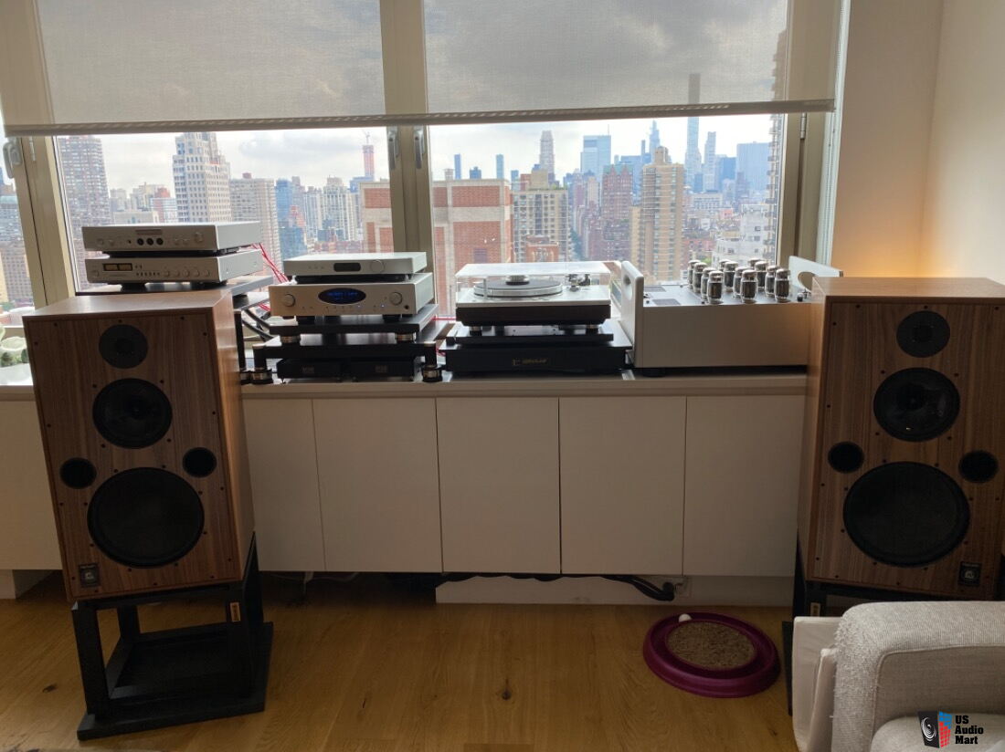 Rogue Audio Zeus Dark (Same as Apollo Dark Monoblocks in one chassis ...