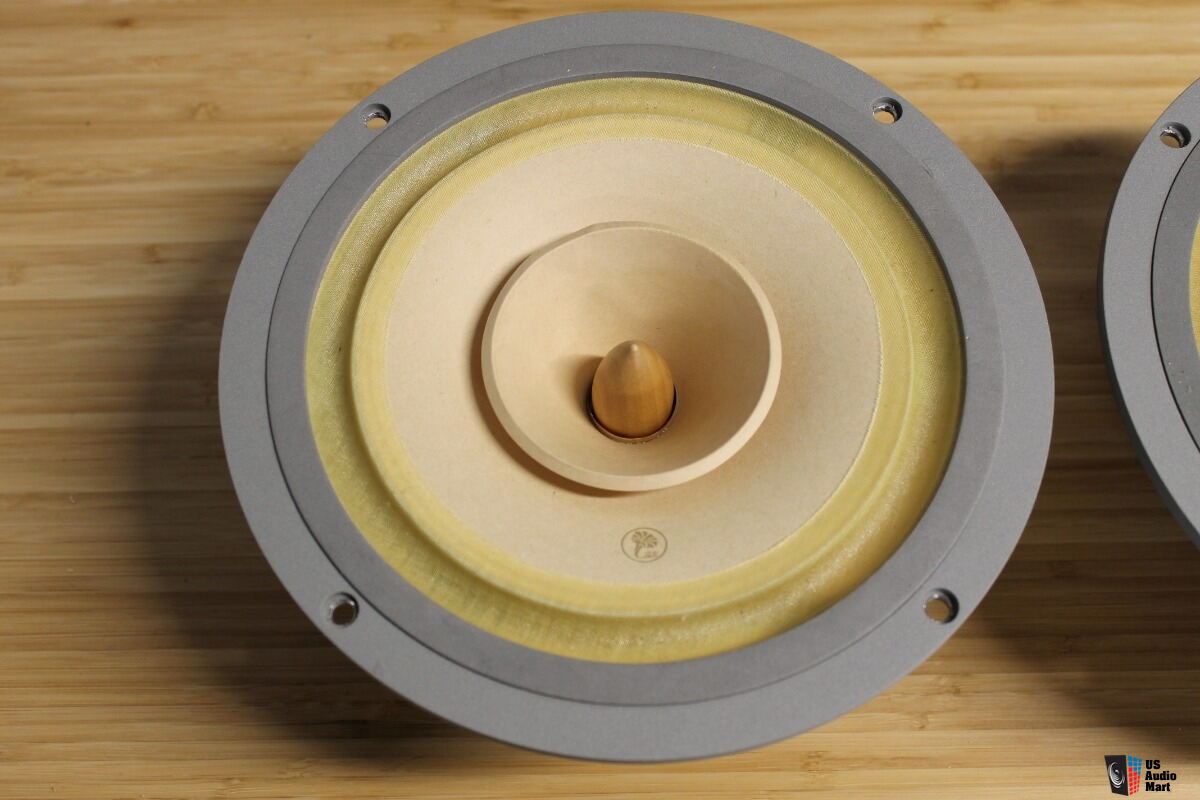Lii Audio Fast 8 Full Range Drivers Photo #2840379 - Aussie Audio Mart