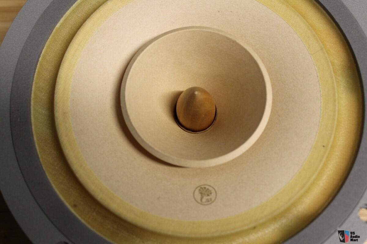 Lii Audio Fast 8 Full Range Drivers Photo #2840386 - US Audio Mart