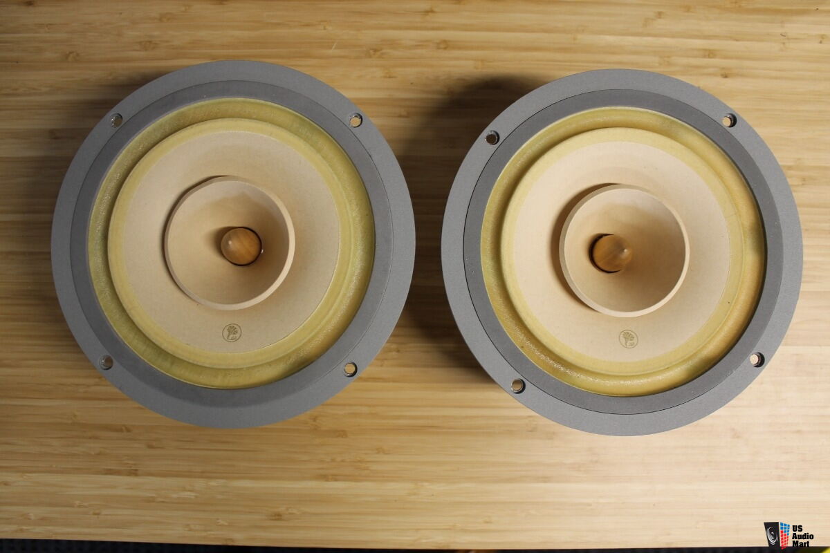 Lii Audio Fast 8 Full Range Drivers For Sale - US Audio Mart