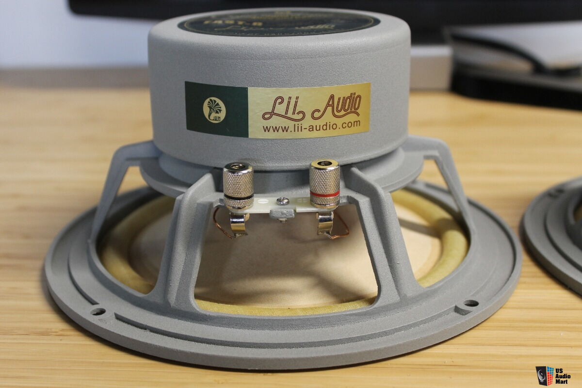 Lii Audio Fast 8 Full Range Drivers Photo #2841708 - US Audio Mart