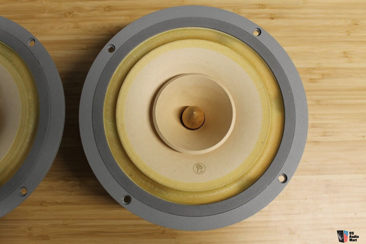 Lii Audio Fast 8 Full Range Drivers Photo #2841708 - US Audio Mart