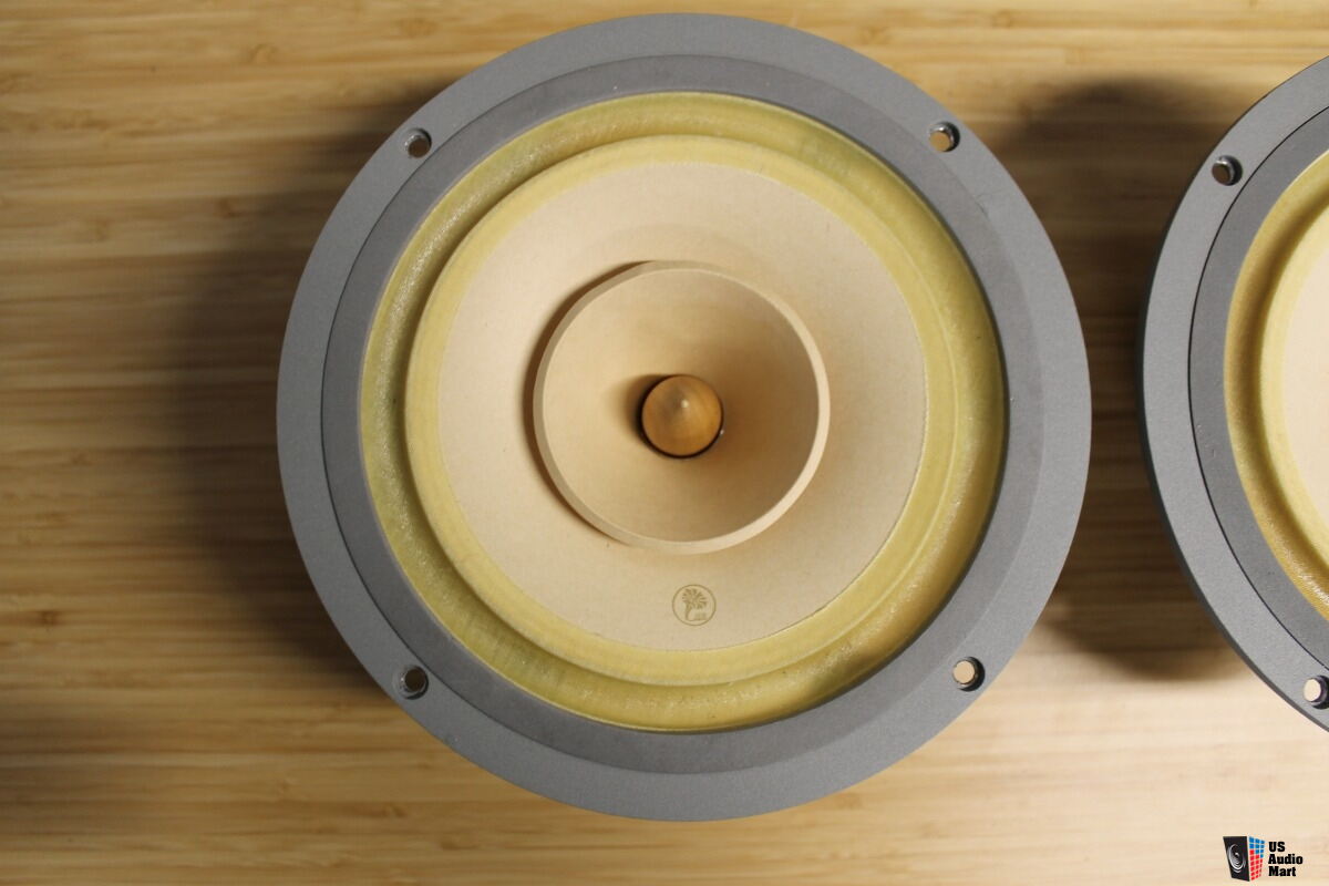 Lii Audio Fast 8 Full Range Drivers Photo #2841708 - US Audio Mart
