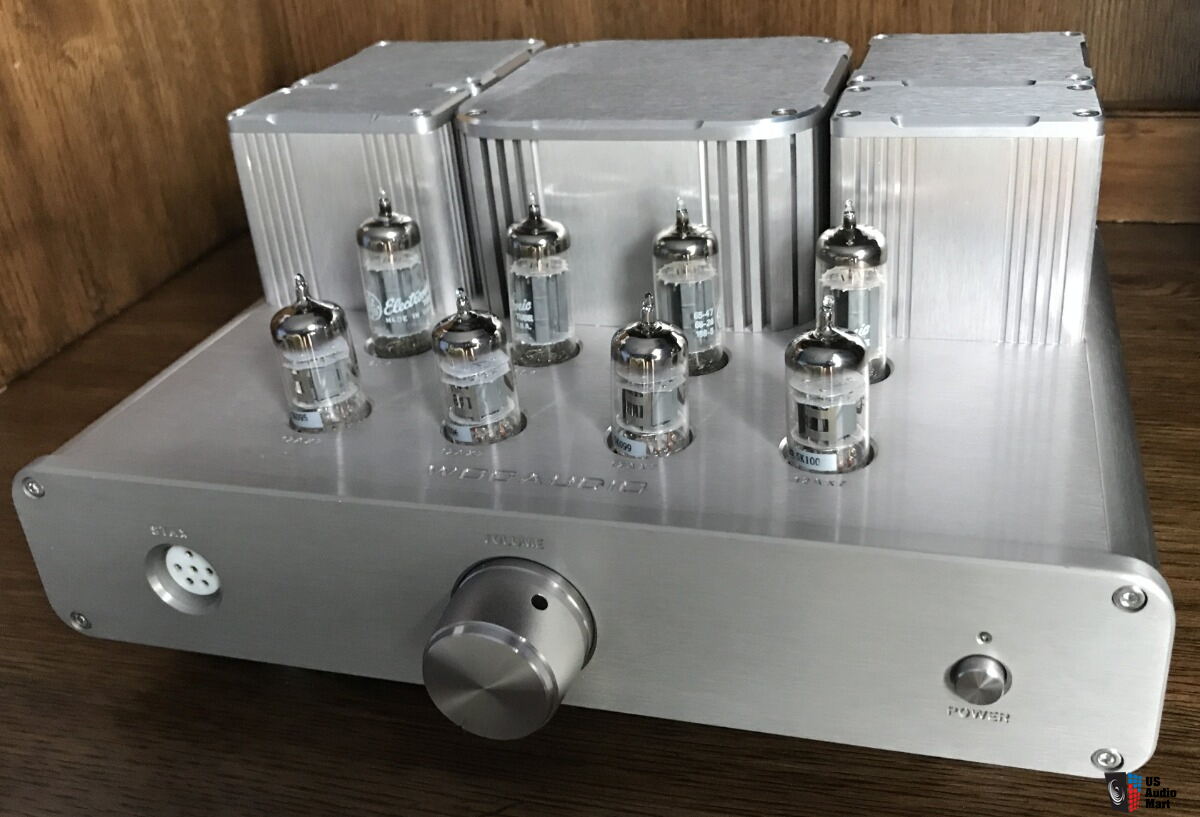 WOO GES Electrostatic Headphone Amplifier For Sale - US Audio Mart