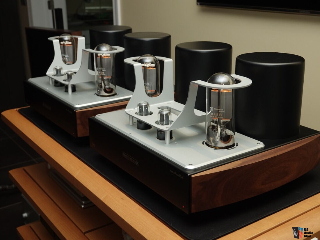 MastersounD Class 'A' 845 Monoblock Amps Photo #2863372 - US Audio Mart