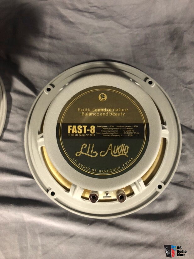 Lii Audio fast 8 drivers