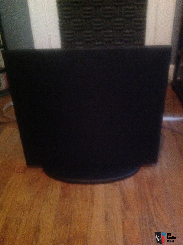 Magnepan DWM Bass Panel For Sale - US Audio Mart