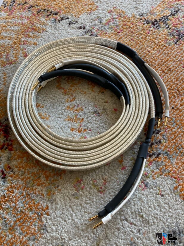 Analysis Plus Big Silver Oval Speaker Cable 10 ft pair Photo #2875737 ...