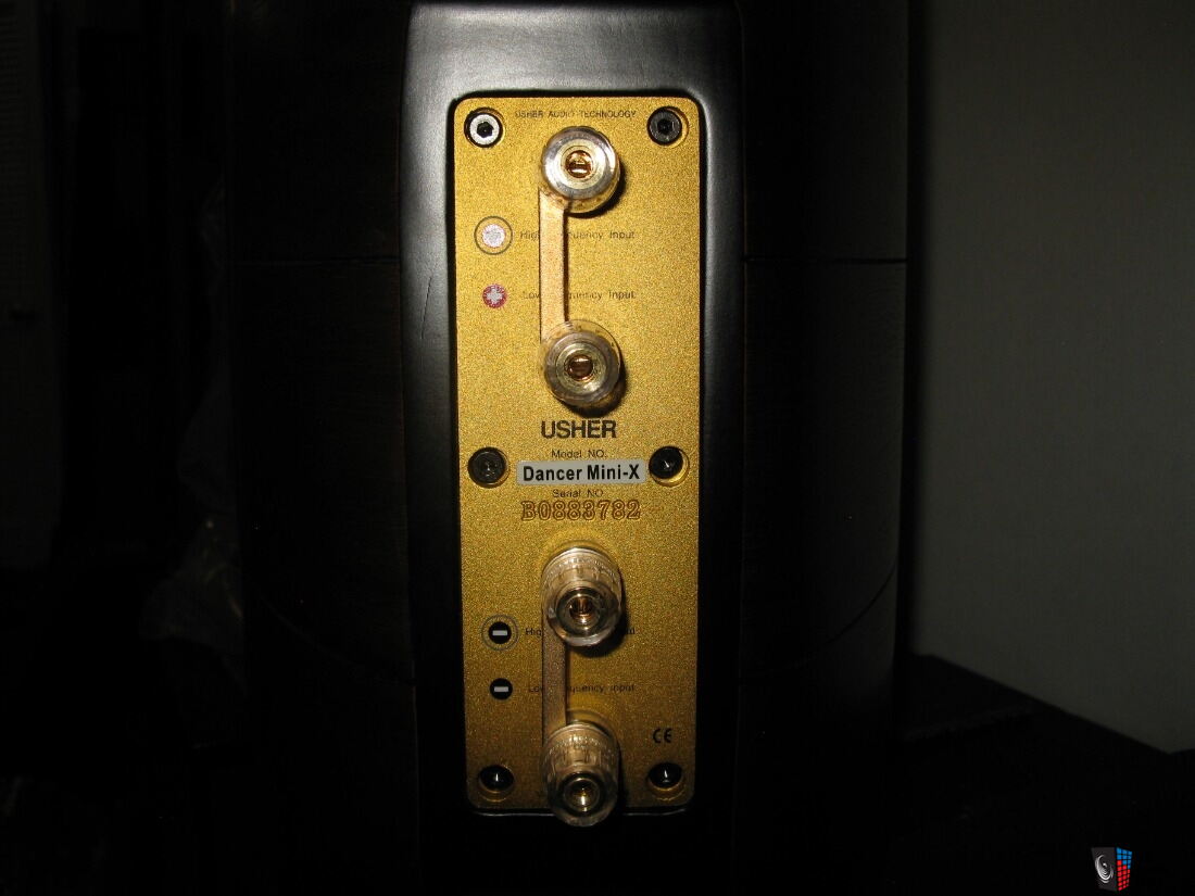 Usher Dancer mini-X Diamond Photo #2926982 - US Audio Mart
