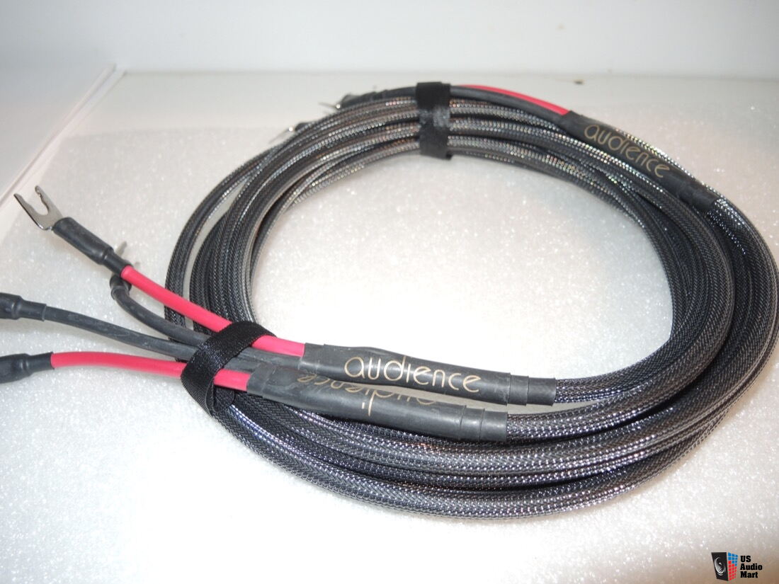 Audience Conductor SE Speaker Cable, 3.0 meter pair - REDUCED PRICE ...
