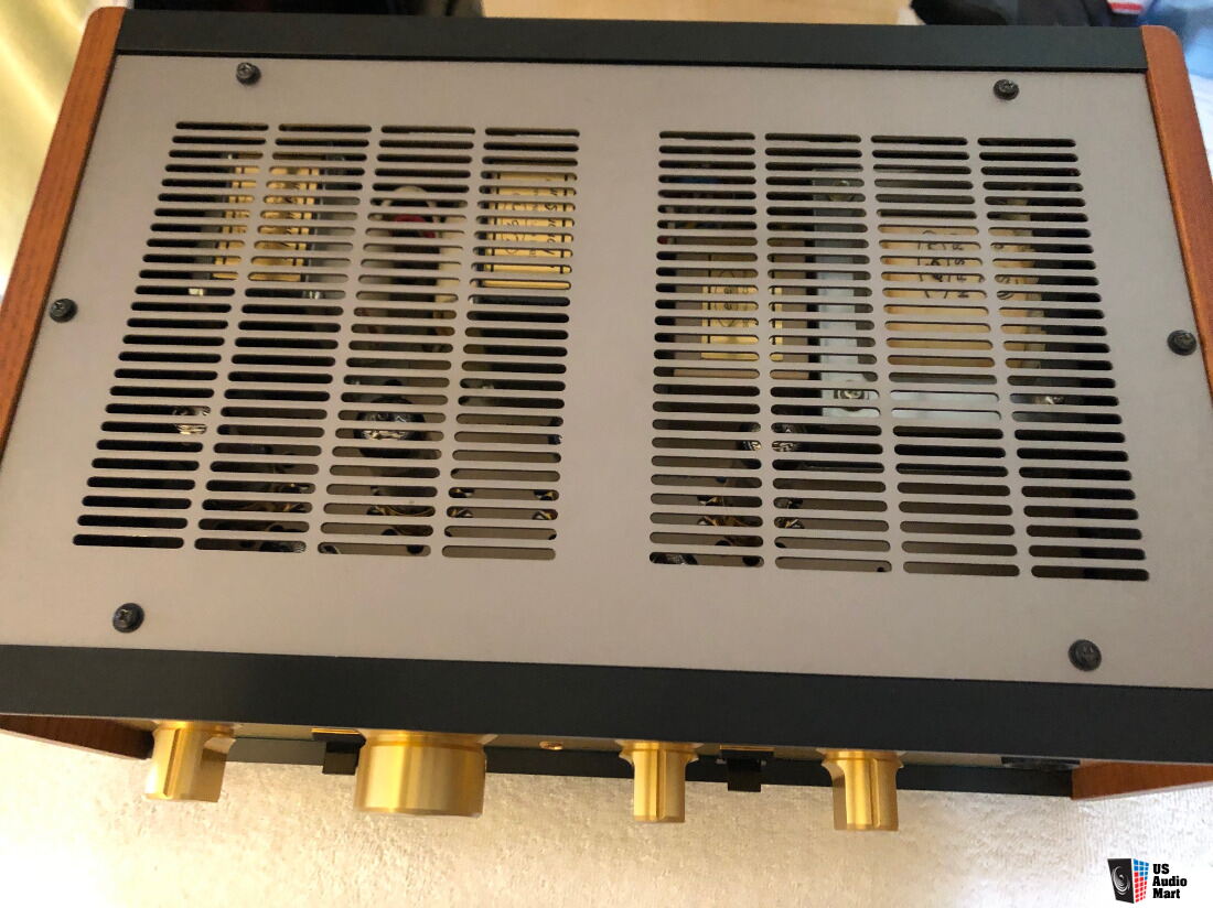 Leben CS300XS Integrated Amp Photo #2987896 - US Audio Mart