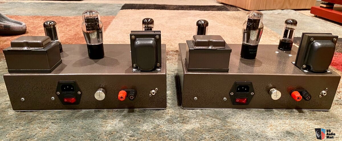 Alan Eaton SE 45 Monoblock Amplifiers Photo #3020166 - US Audio Mart