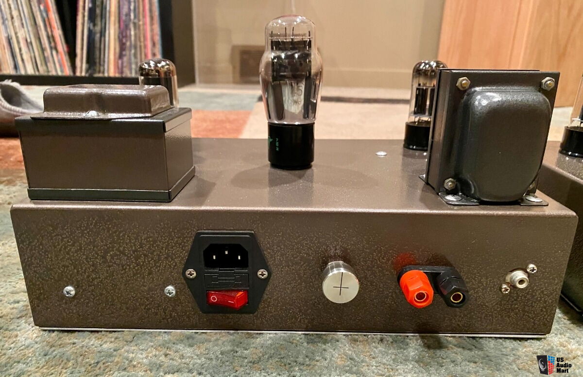 Alan Eaton SE 45 Monoblock Amplifiers Photo #3020166 - US Audio Mart