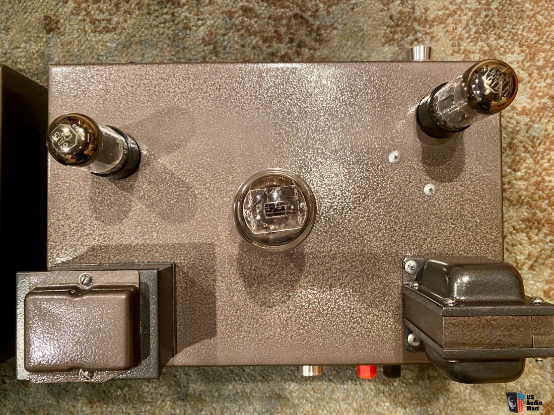 Alan Eaton SE 45 Monoblock Amplifiers Photo #3020166 - US Audio Mart