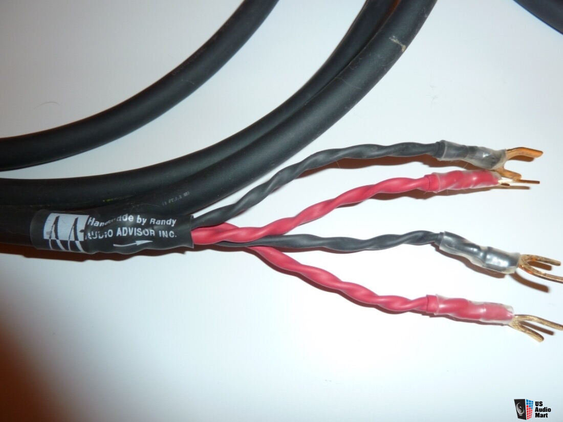 Audioquest Slate Speaker Cables 10 FT Pair Biwire ( Bananas to Spades ...