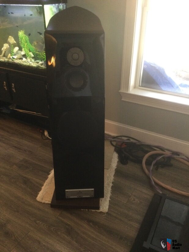 Usher BE- 20 Diamond DMD Photo #3068580 - US Audio Mart