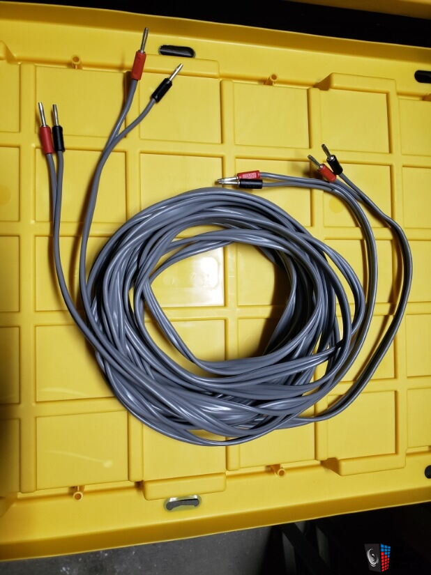 Linn K20 Loudspeaker Cables Photo #3069117 - US Audio Mart