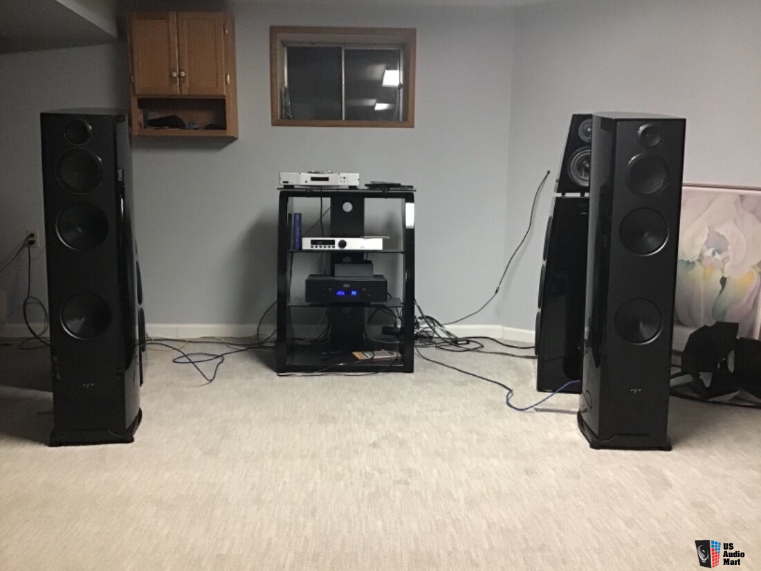 Paradigm persona 7f Photo #3087184 - US Audio Mart