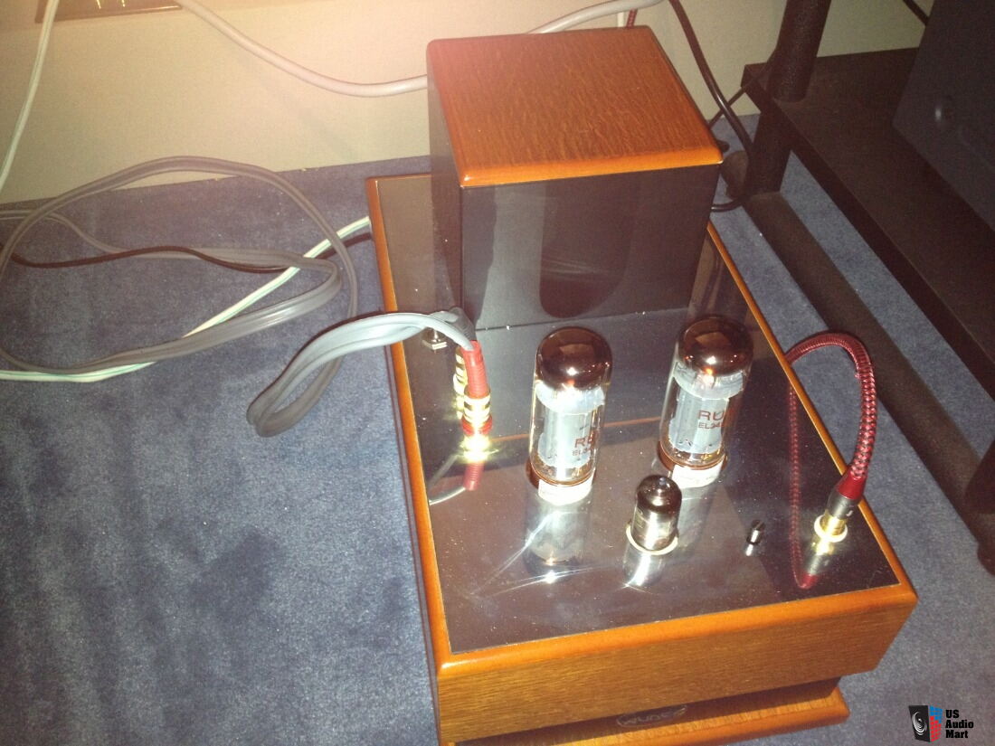 Audes NS1 Tube Monoblock amplifiers For Sale - US Audio Mart