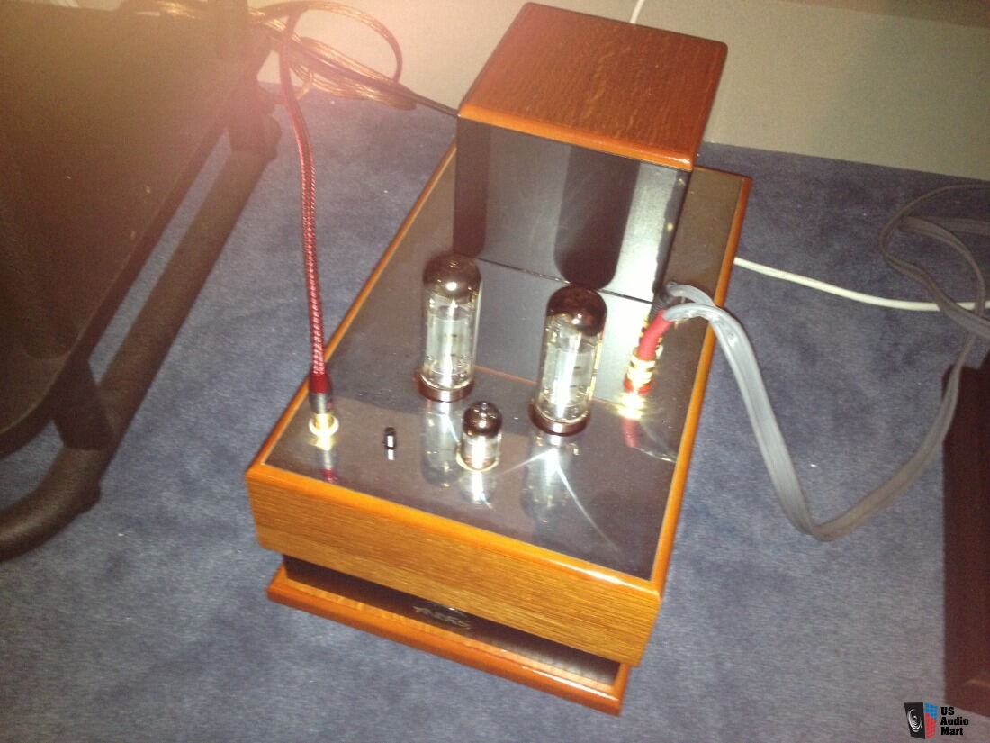 Audes NS1 Tube Monoblock amplifiers Photo #3122420 - US Audio Mart