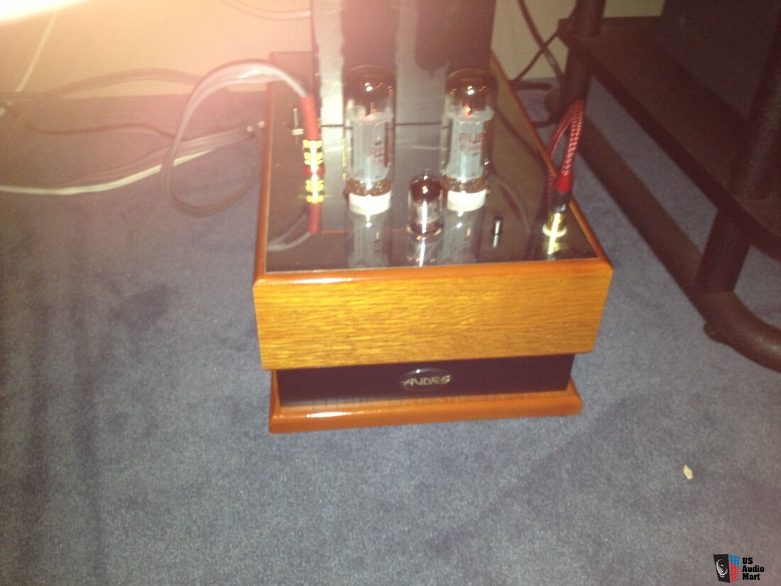 Audes NS1 Tube Monoblock amplifiers Photo #3122421 - US Audio Mart