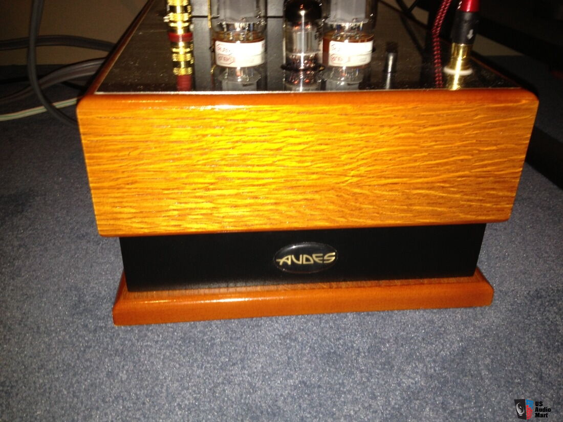 Audes NS1 Tube Monoblock amplifiers Photo #3122423 - US Audio Mart