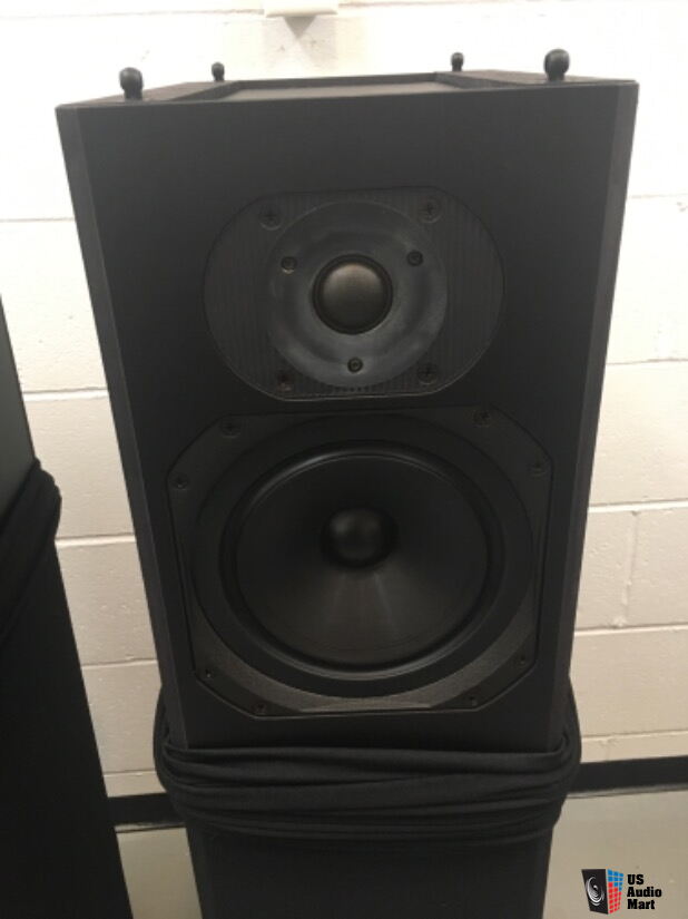 Paradigm Export/BP floor standing speakers Photo #3133277 - US Audio Mart