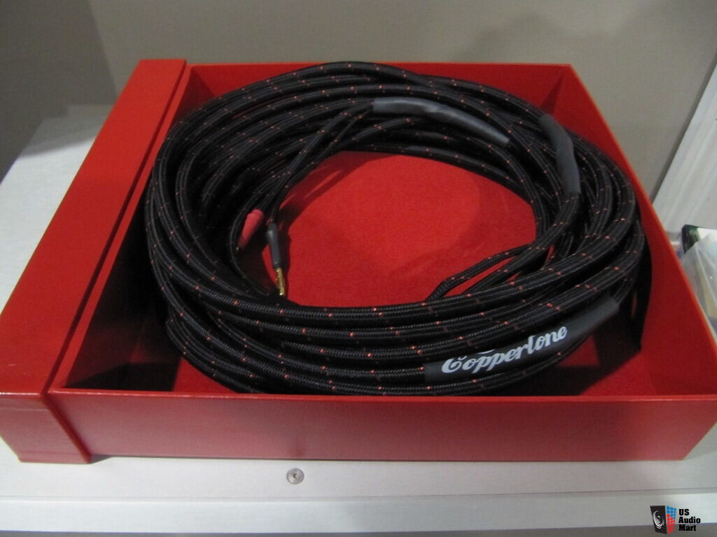 Black Cat Coppertone Speaker Cables (5M) Latest design (FLATWAVE) For ...