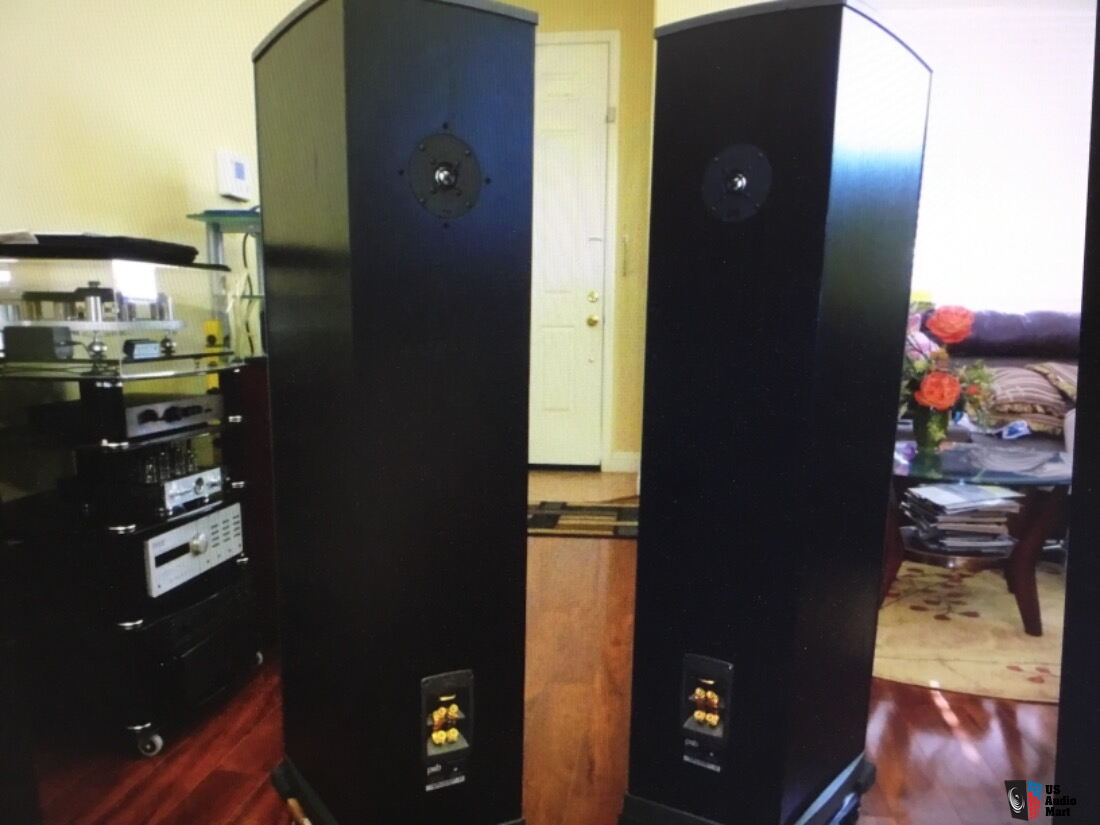 PSP T8 Platinum speakers - pair Photo #3169725 - US Audio Mart