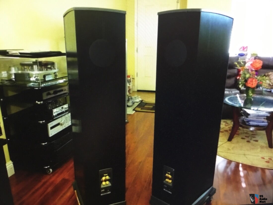 PSP T8 Platinum speakers - pair Photo #3169725 - US Audio Mart