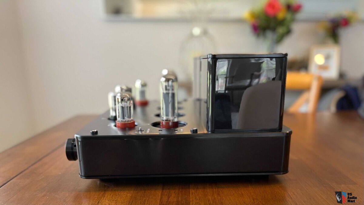 Willsenton R8 Amplifier Photo #3235480 - UK Audio Mart