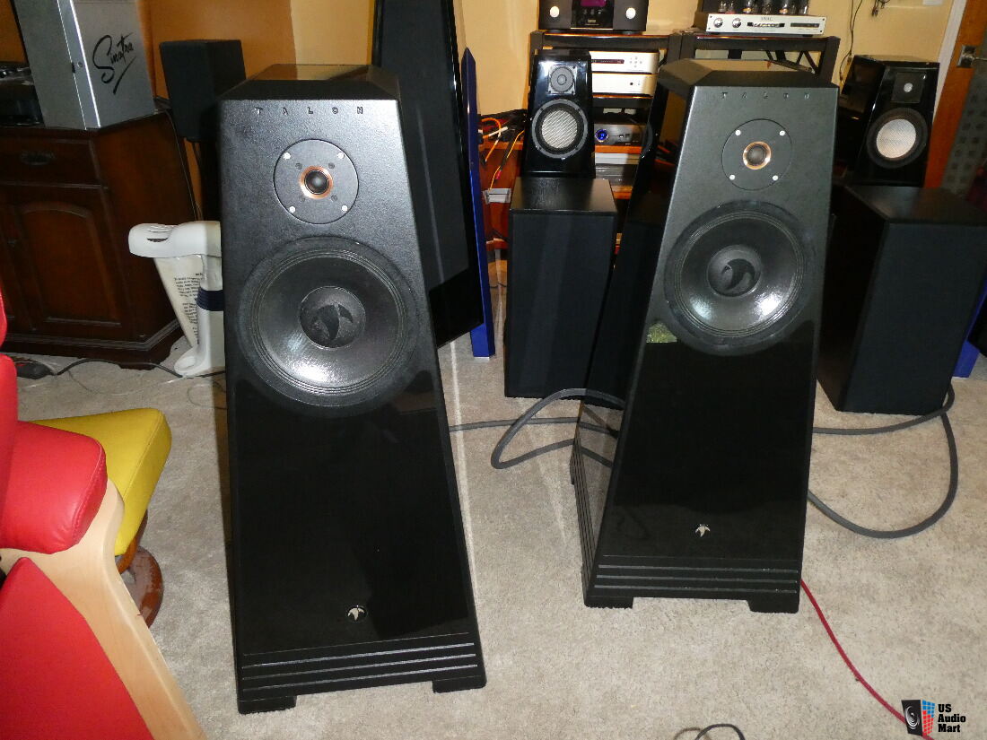 Talon Raven 2002 Speakers Upgraded X crossovers and tweeters (2021 ...