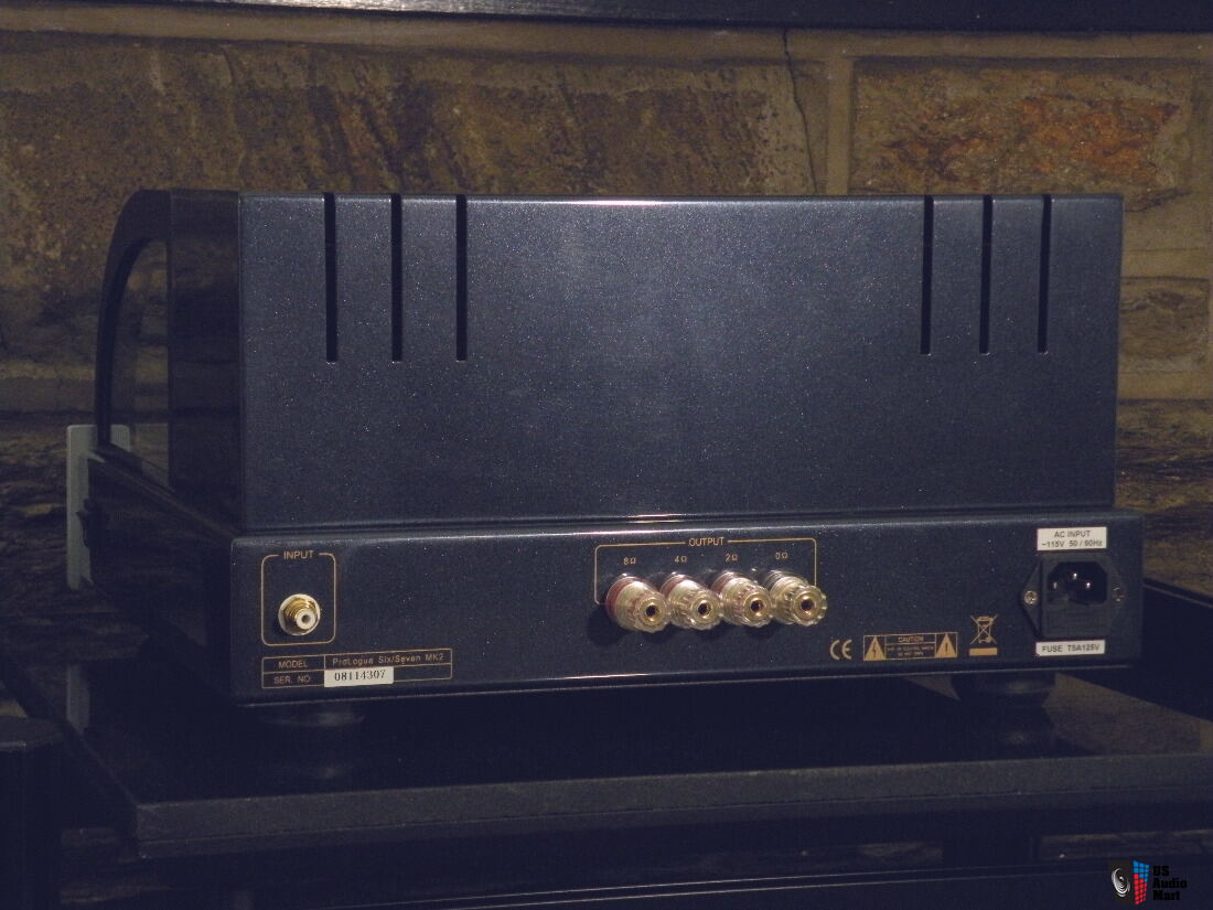 1 pair PrimaLuna Prologue Premium Mono Power Amps Photo #3281539 - US ...