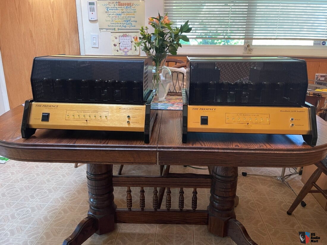 Wolcott Audio "Presence" 280w Monoblock Tube Amplifier Photo #3285589 ...